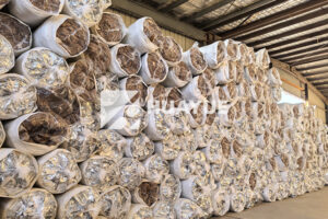 R19 Roll Insulation Guide: Uses, R13 vs. R19 & Attic Suitability